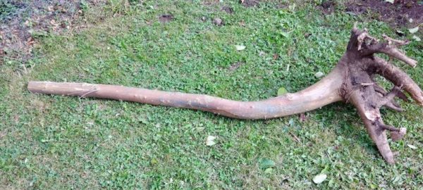 How about making your own didgeridoo ?! - Wakademy