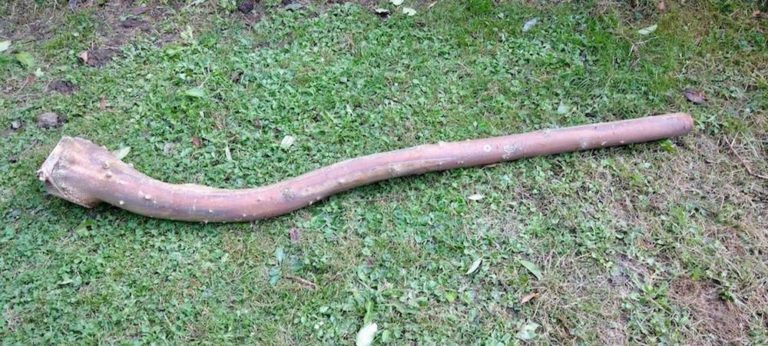 How about making your own didgeridoo ?! - Wakademy